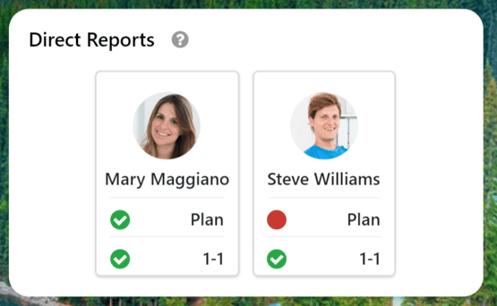 Direct Reports Widget