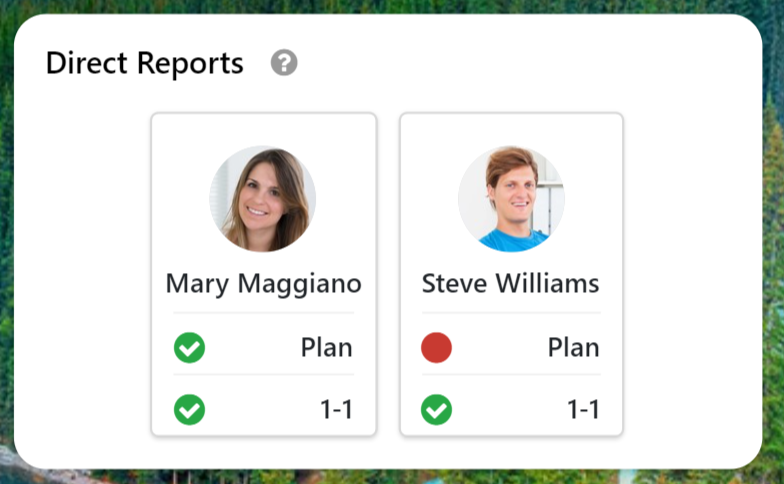 Direct Reports Widget